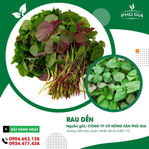 Rau dền - Phú Gia Food
